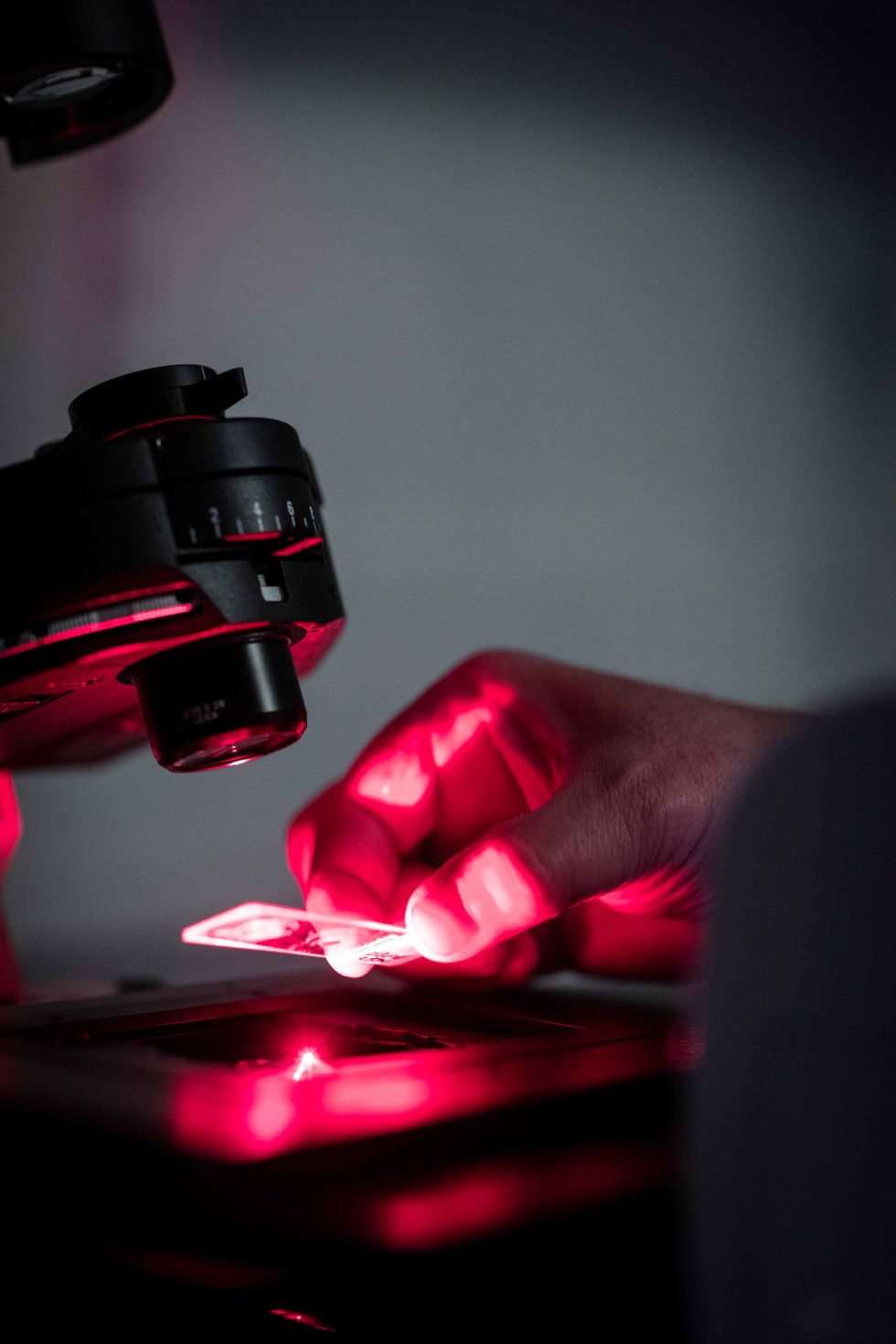 INSCOPER | Hardware Automation Solution for Fluorescence Microscopes