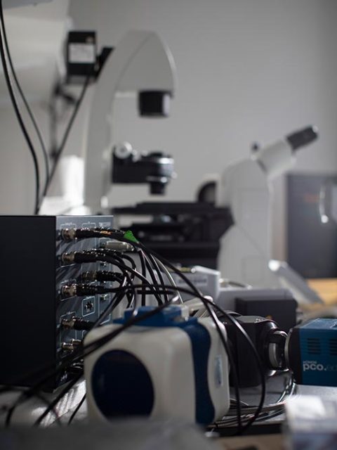 INSCOPER | Hardware Automation Solution for Fluorescence Microscopes