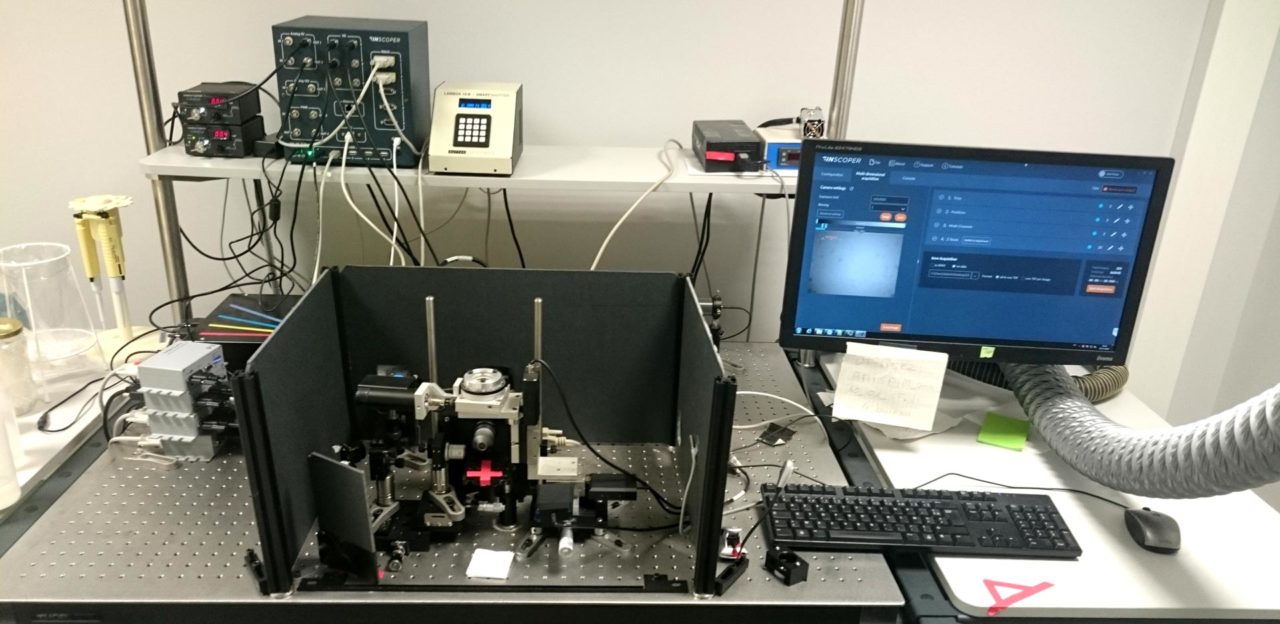 Light-Sheet/SPIM - Toulouse, France