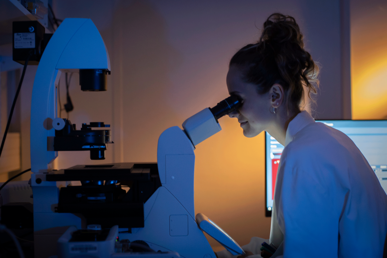 Inscoper fastFLIM - INSCOPER