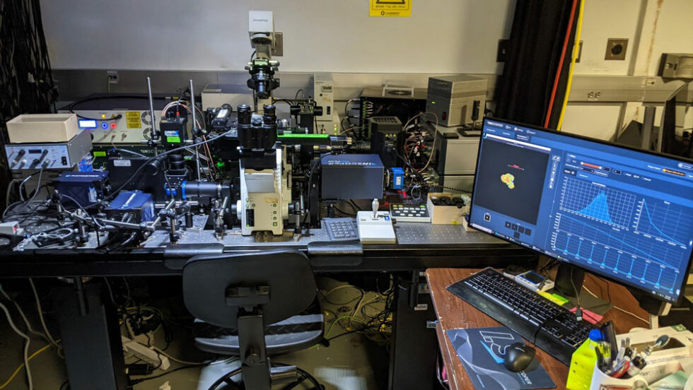 fastFLIM microscopy add-on system - New York, USA - INSCOPER