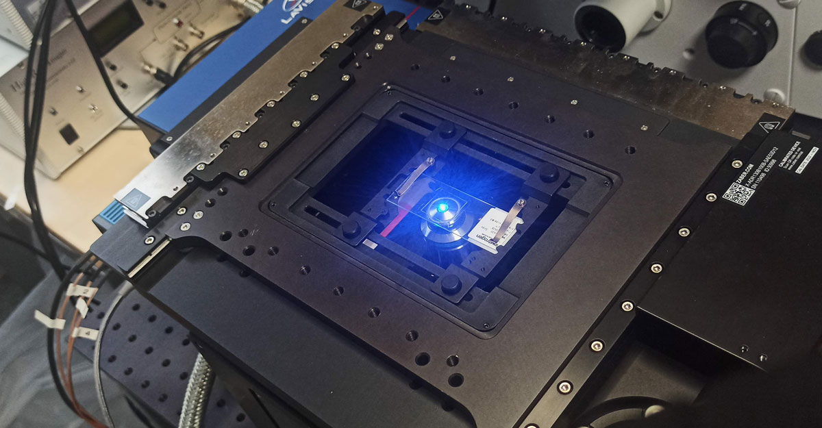 Higher XY Speed for Live Cell Imaging with ZABER Nucleus microscope ...