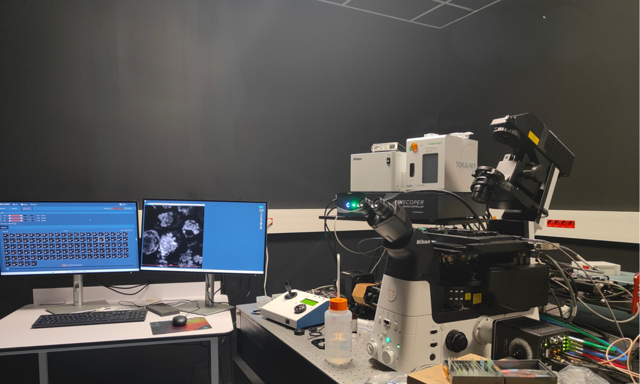 Overcome a paradoxical situation in a complex biological context using ...